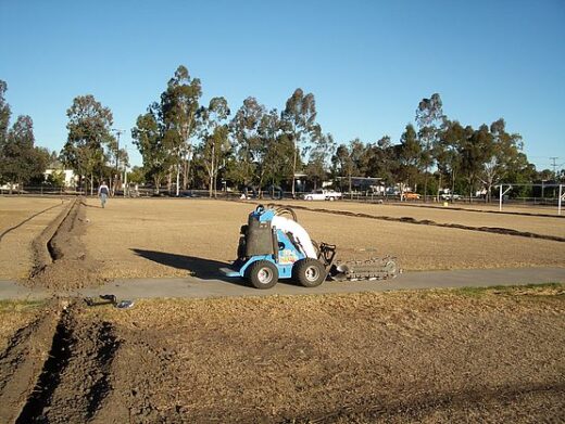 DINGO BLADE - Dingo Australia